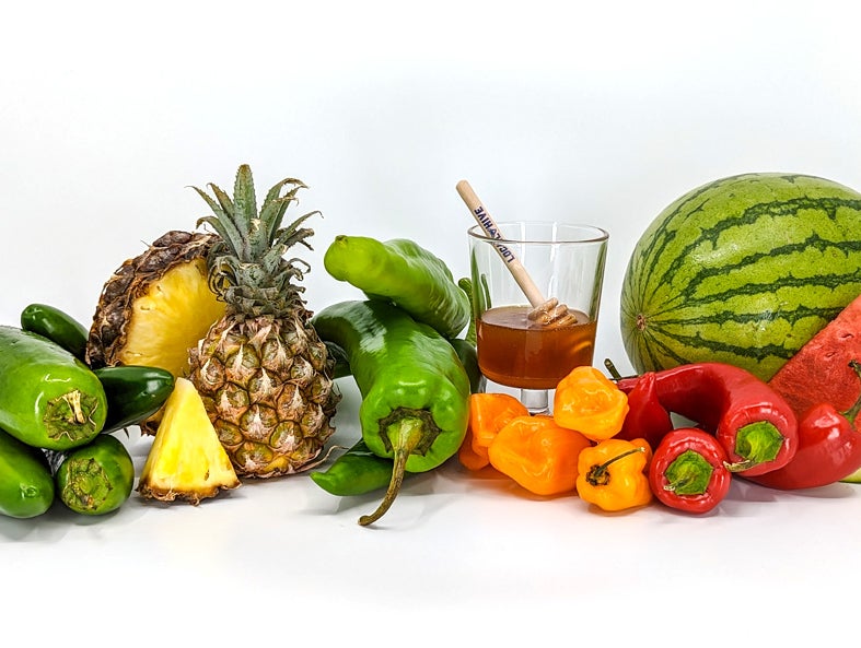 Salce | Salce - Small batch Arizona hot sauce and more!